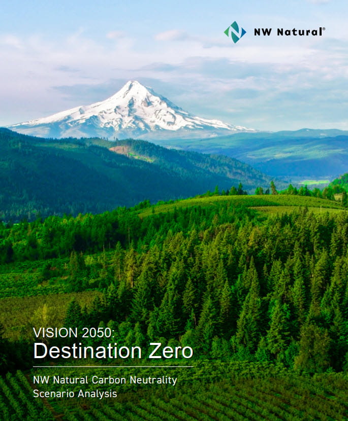 VISION 2050 Destination Zero - NW Natural