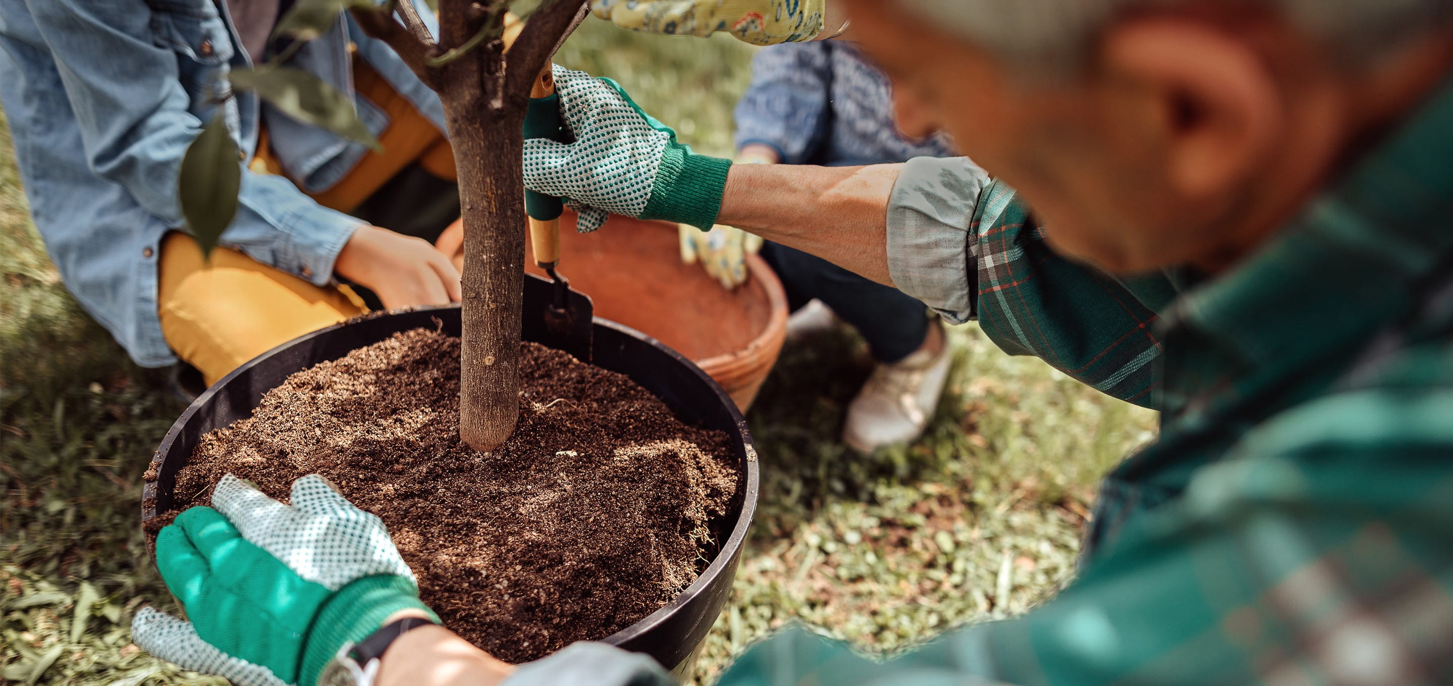 Reliable. Comfortable. Convenient. - NW Natural