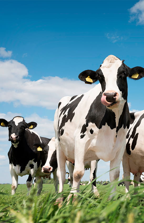 NW Natural Community & Sustainability Report - NW Natural